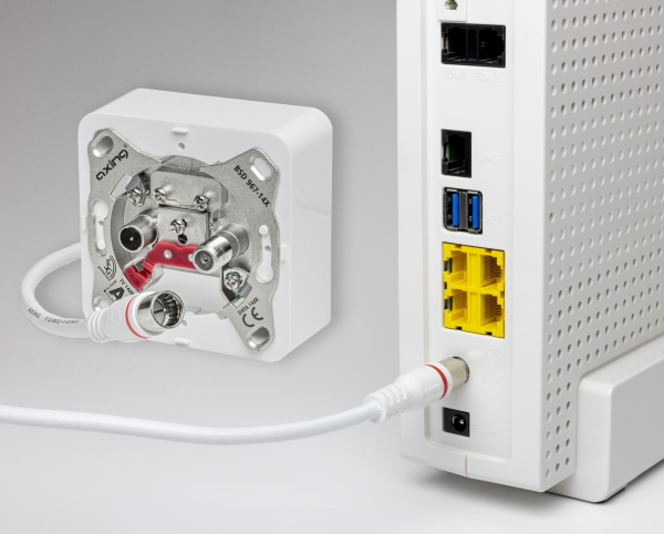 EAK 301-80 Connection cable for terminal devices F | axial connectors ...